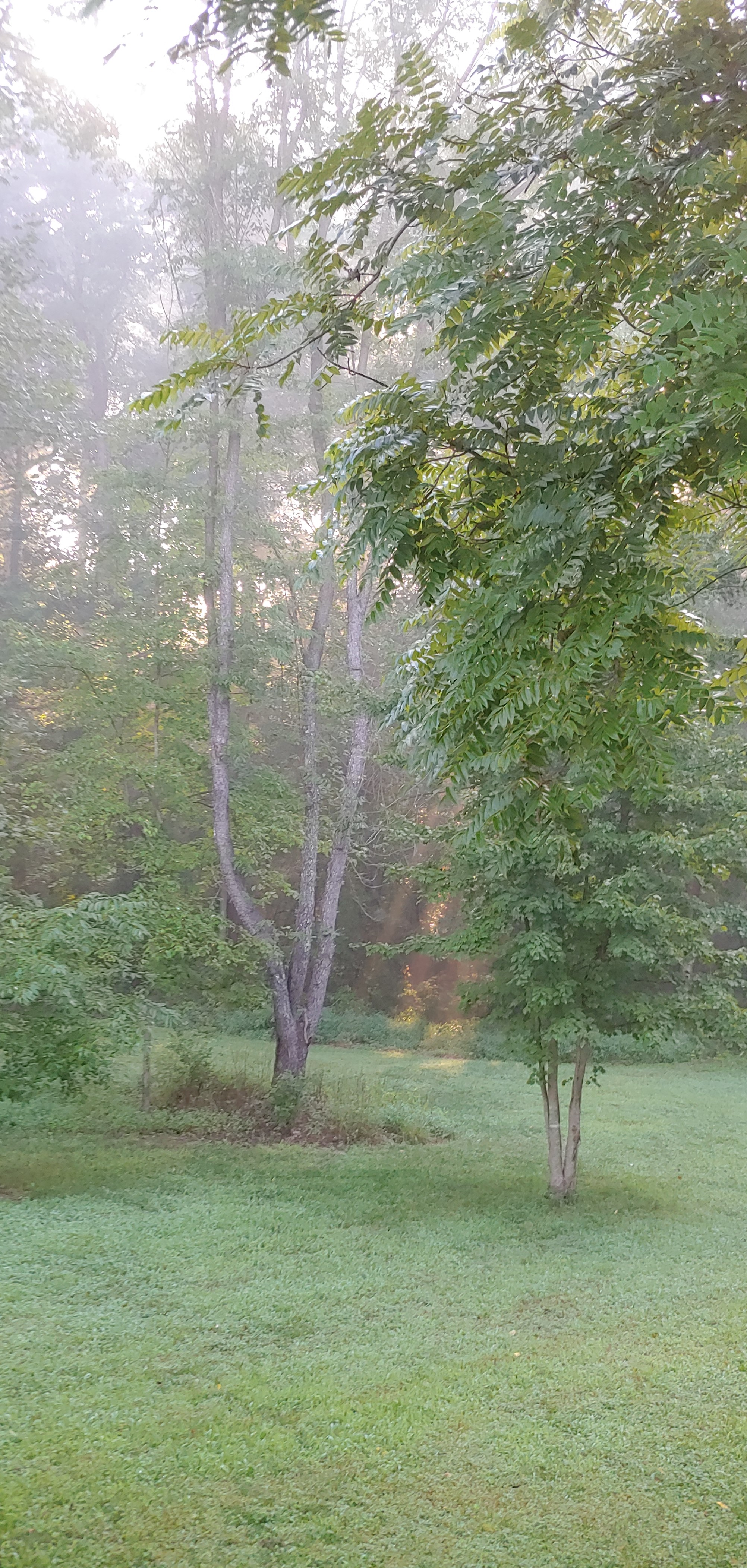 A Day Like Any Day – Hearing the Divine